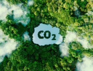 Our Vision - EURECAT